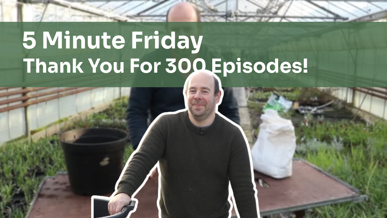 5 Minute Friday - Thank You For 300 Episodes! – BuyPlants.co.uk