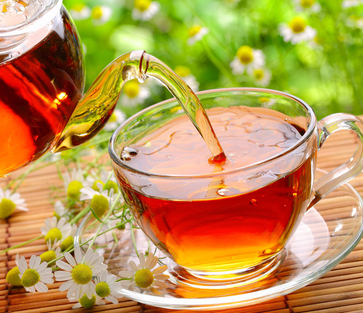 Time for Tea – BuyPlants.co.uk